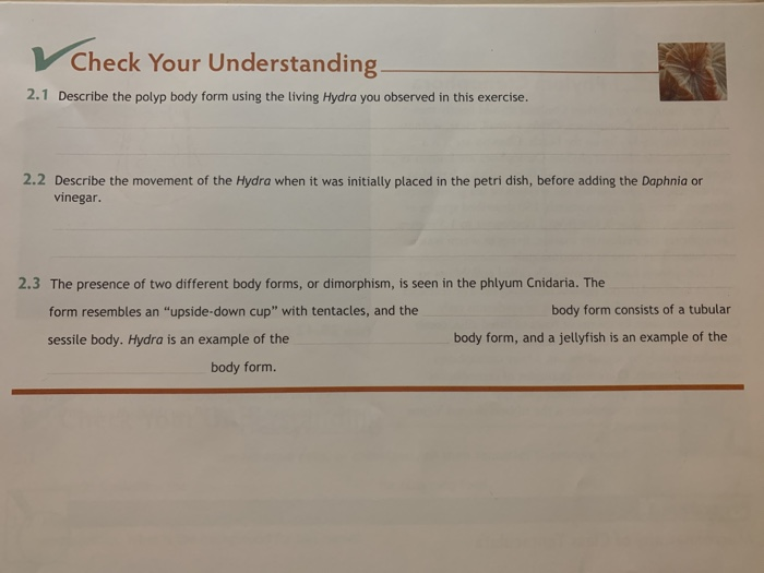 Solved Check Your Understanding Describe the polyp body form | Chegg.com