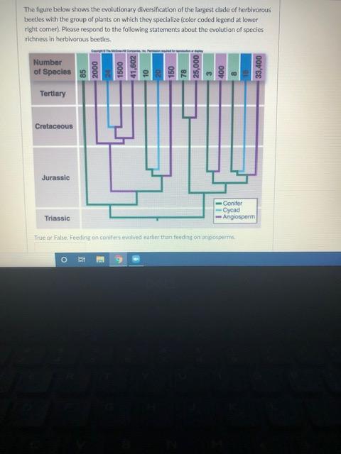 Solved The figure below shows the evolutionary | Chegg.com