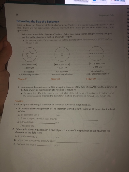 Solved 38 Scope and Cell Estimating the Size of a Specimen | Chegg.com
