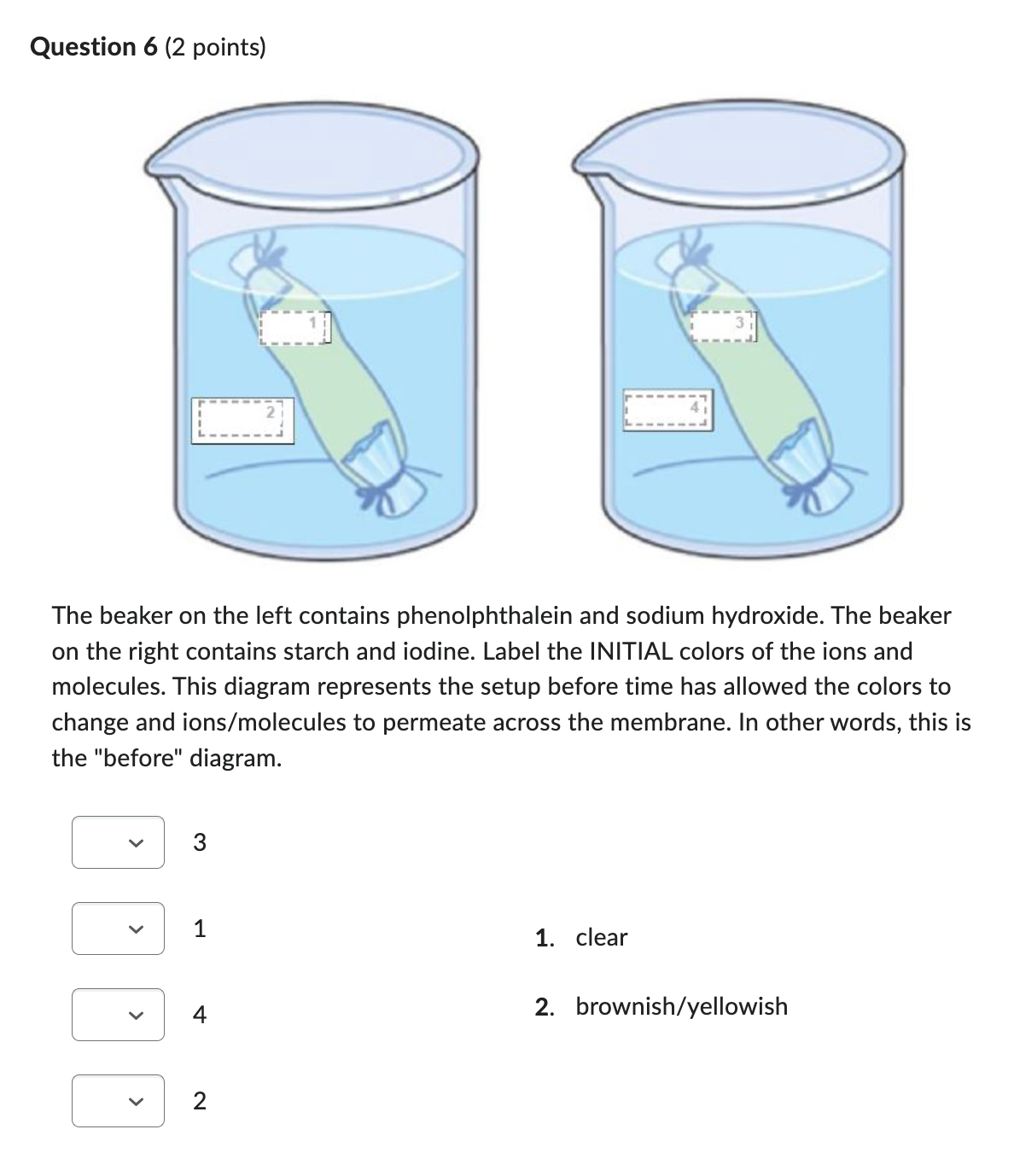 Solved Question 6 (2 points) The beaker on the left contains | Chegg.com