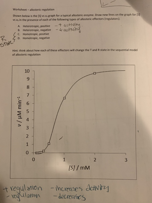 Solved Worksheet- allosteric regulation Shown below is the | Chegg.com