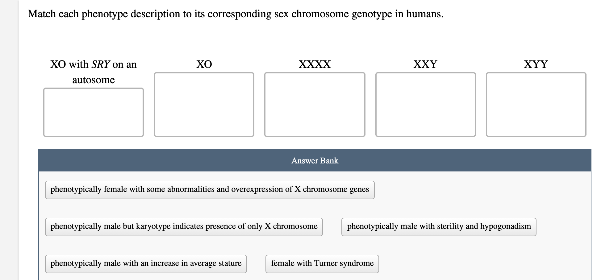 Xo Chromosome