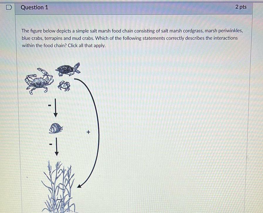 Solved Question 1 2 pts The figure below depicts a simple | Chegg.com