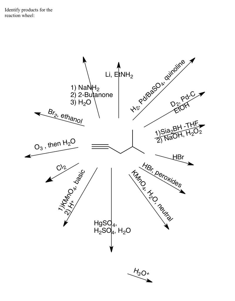 Solved Identify products for the reaction wheel: | Chegg.com