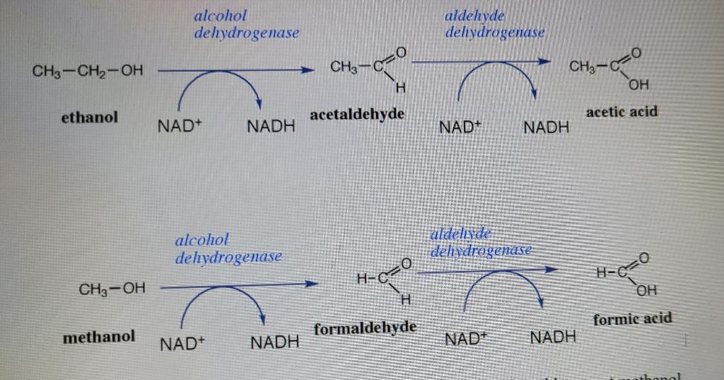 Solved Methanol is a highly toxic compound to humans. As | Chegg.com