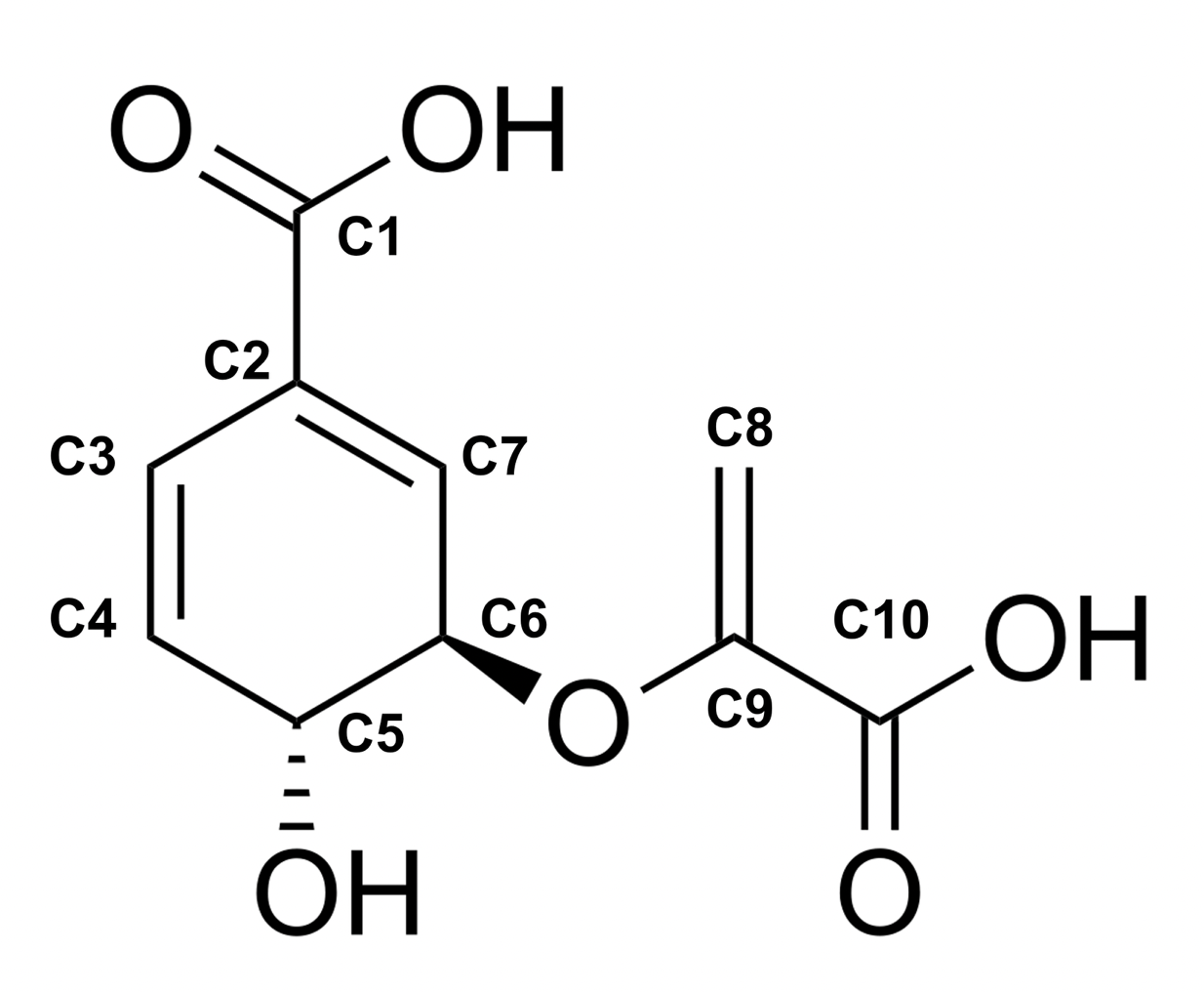 Solved ОН С1 С2 C8 C3 C7 C4 C6 C10 ОН C9 C5 ОН О О C1 | Chegg.com