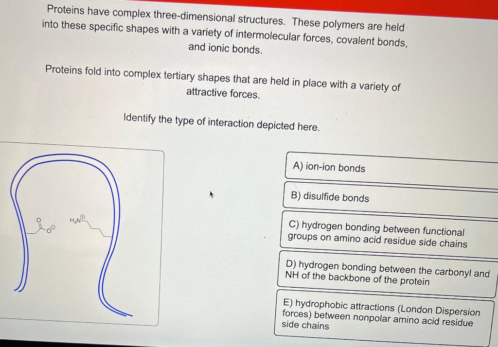 Solved Proteins have complex three-dimensional structures. | Chegg.com