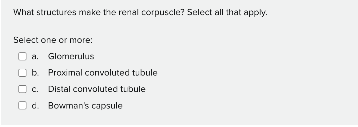 Solved What structures make the renal corpuscle? Select all | Chegg.com