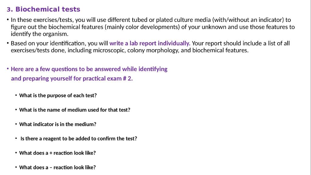 A “Virtual” Unknown Bacteria Identification Phylum | Chegg.com
