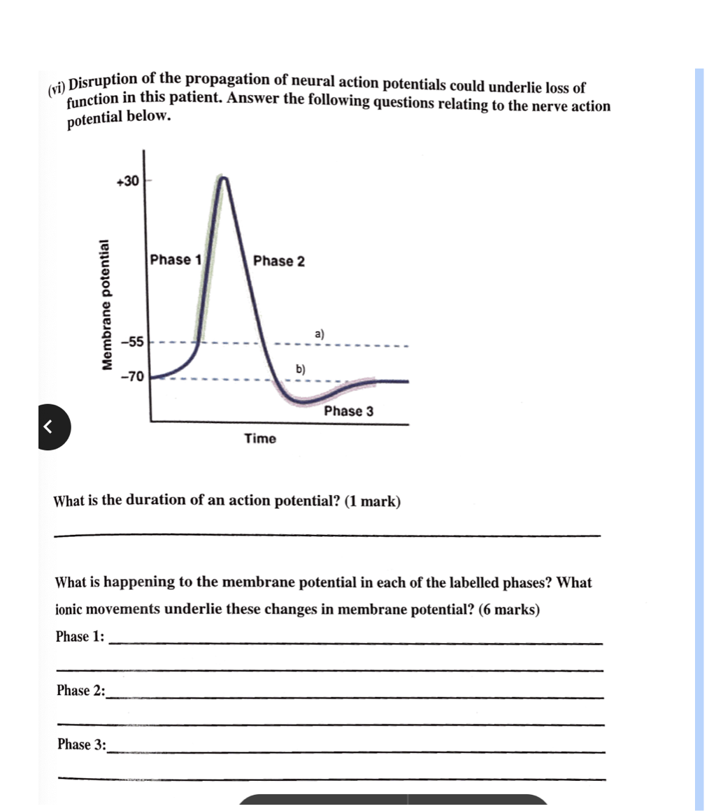 Solved (vi) Disruption of the propagation of neural action | Chegg.com