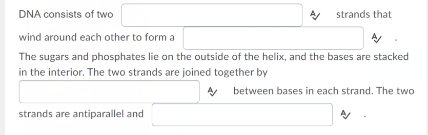 Solved DNA consists of two A strands that wind around each | Chegg.com