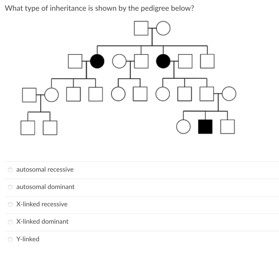Solved What type of inheritance is shown by the pedigree | Chegg.com