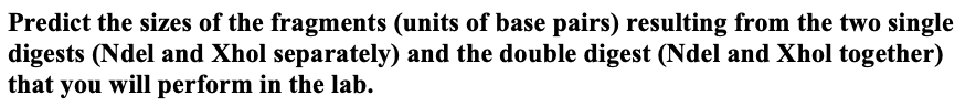 Solved Predict the sizes of the fragments (units of base | Chegg.com