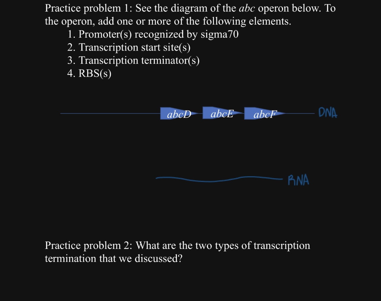 Solved Practice problem 1: See the diagram of the abc operon | Chegg.com