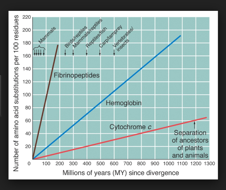 Solved Consider the attached figure. It is thought that | Chegg.com