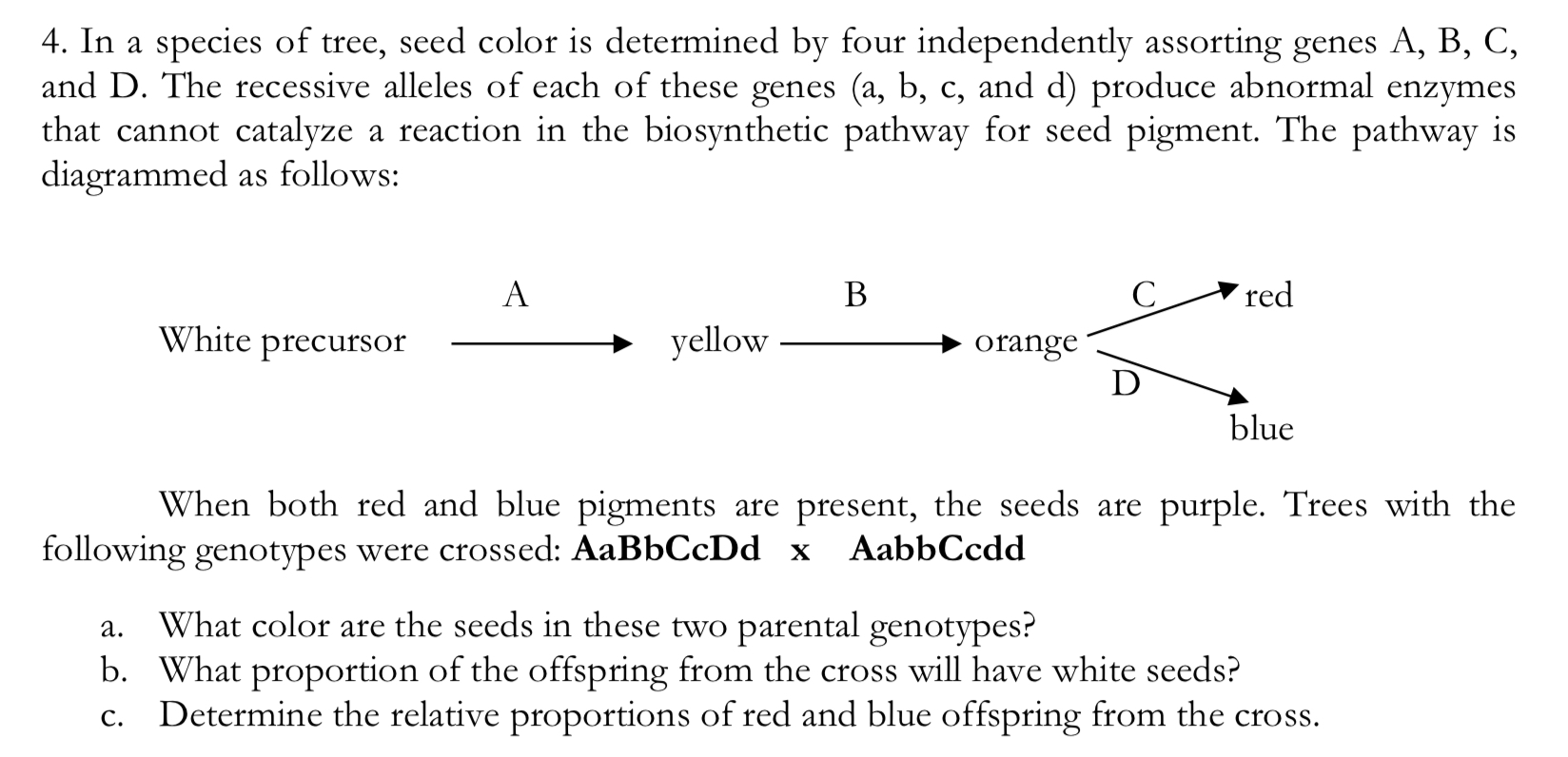 Solved 4. In a species of tree, seed color is determined by | Chegg.com