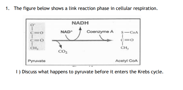 Solved 1. The figure below shows a link reaction phase in | Chegg.com