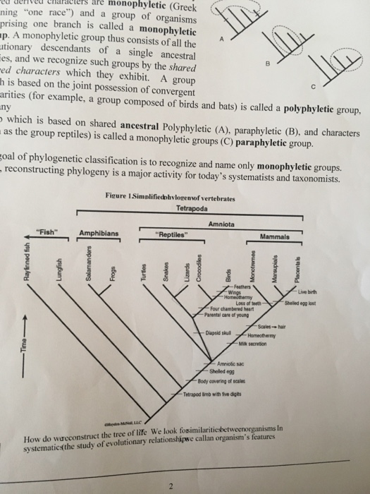 two different derived states as I and 2. Phylogeny | Chegg.com