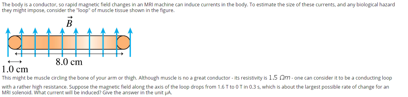 Solved The body is a conductor, so rapid magnetic field | Chegg.com