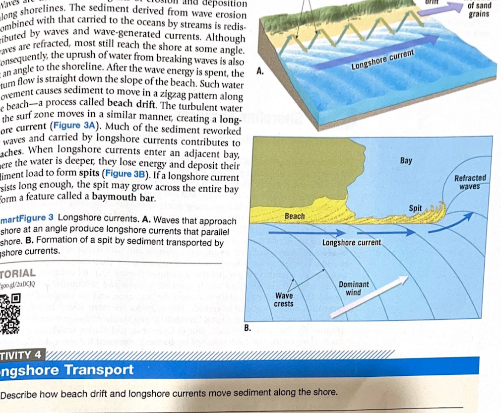 Solved Way of sand grains A. Longshore current deposition | Chegg.com
