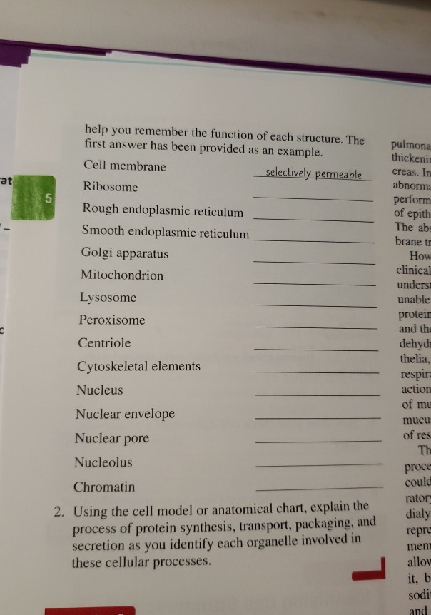 Solved Identify each of the following cell structures in a | Chegg.com