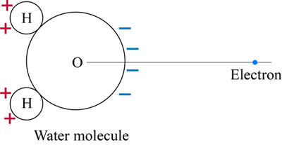 Water Molecule Diagram Electrons