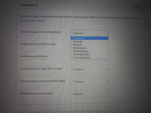 Solved Scientists have divided eukaryotes into six | Chegg.com
