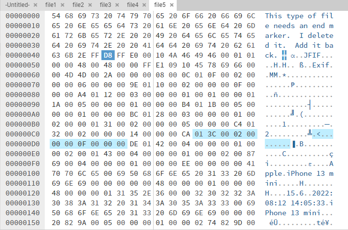 Solved File1- corrupted by adding AA BB CC at the | Chegg.com