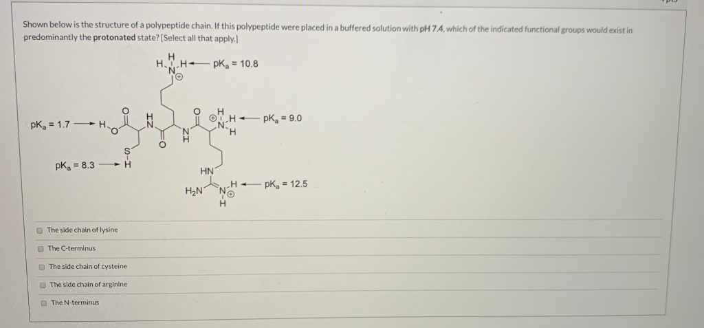 Solved Shown below is the structure of a polypeptide chain. | Chegg.com