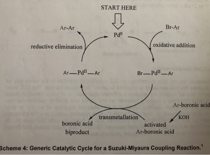 Solved Draw the cyclic mechanism for the Suzuki coupling | Chegg.com