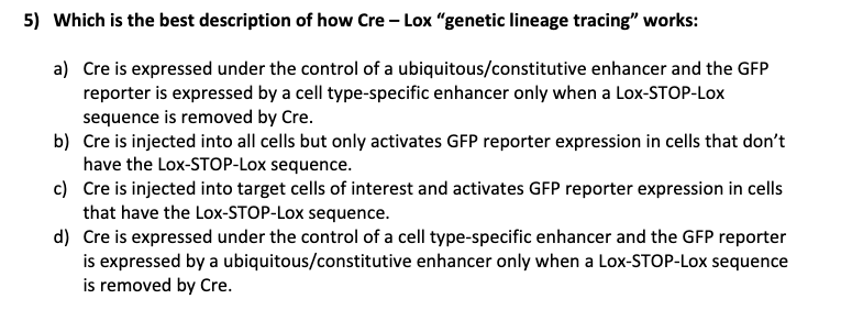 Solved 5) Which is the best description of how Cre - Lox | Chegg.com