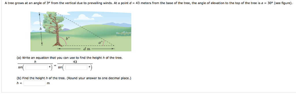 Solved A tree grows at an angle of 30 from the vertical due | Chegg.com