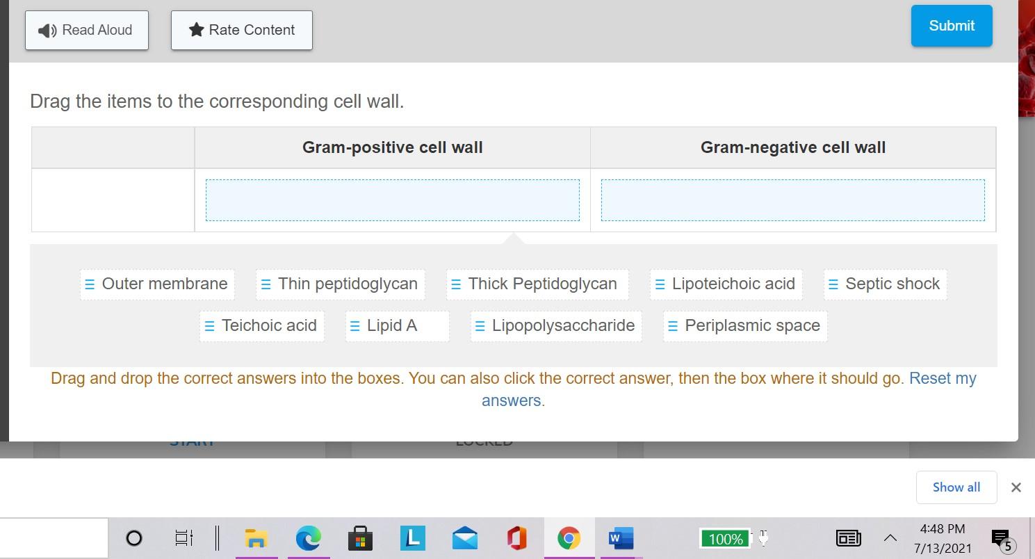 Solved » Read Aloud Rate Content Submit Drag the items to | Chegg.com