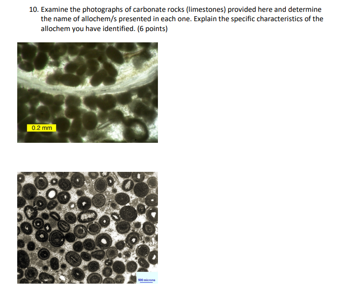 Solved 10. Examine the photographs of carbonate rocks | Chegg.com