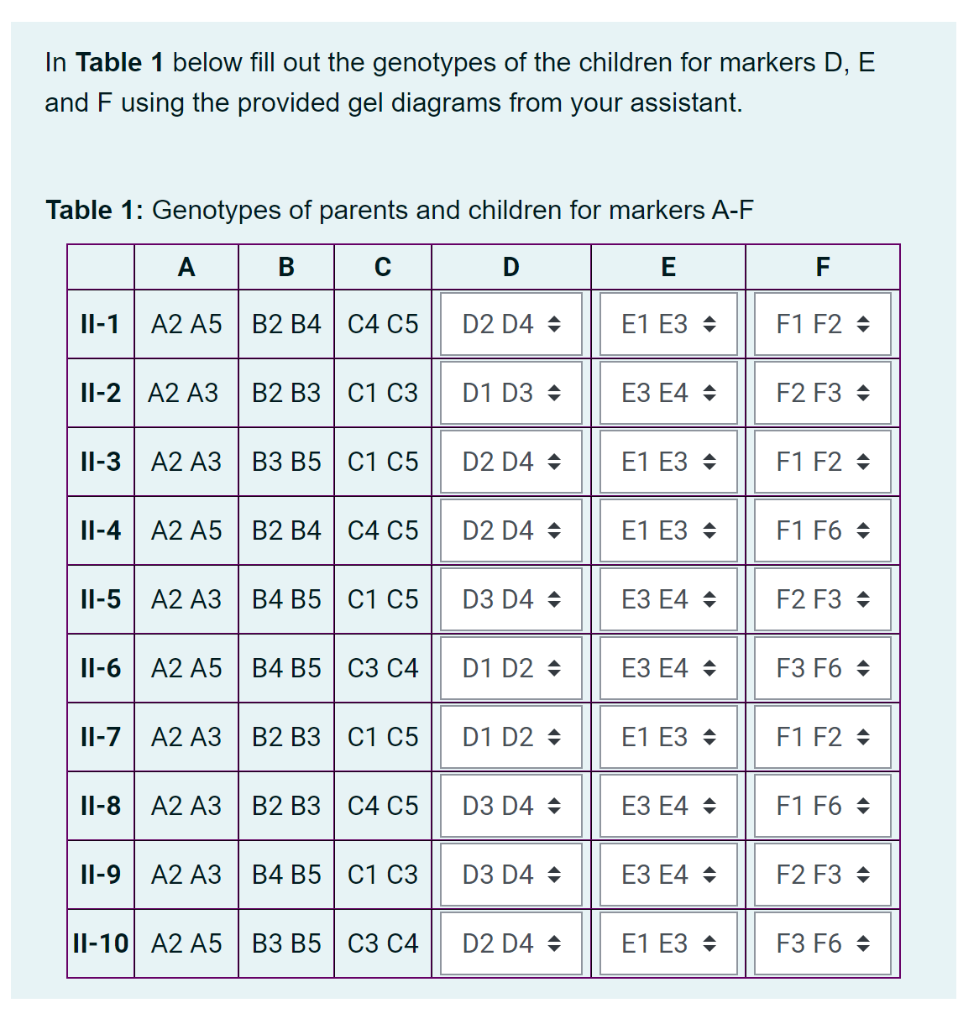 In Table 1 below fill out the genotypes of the | Chegg.com