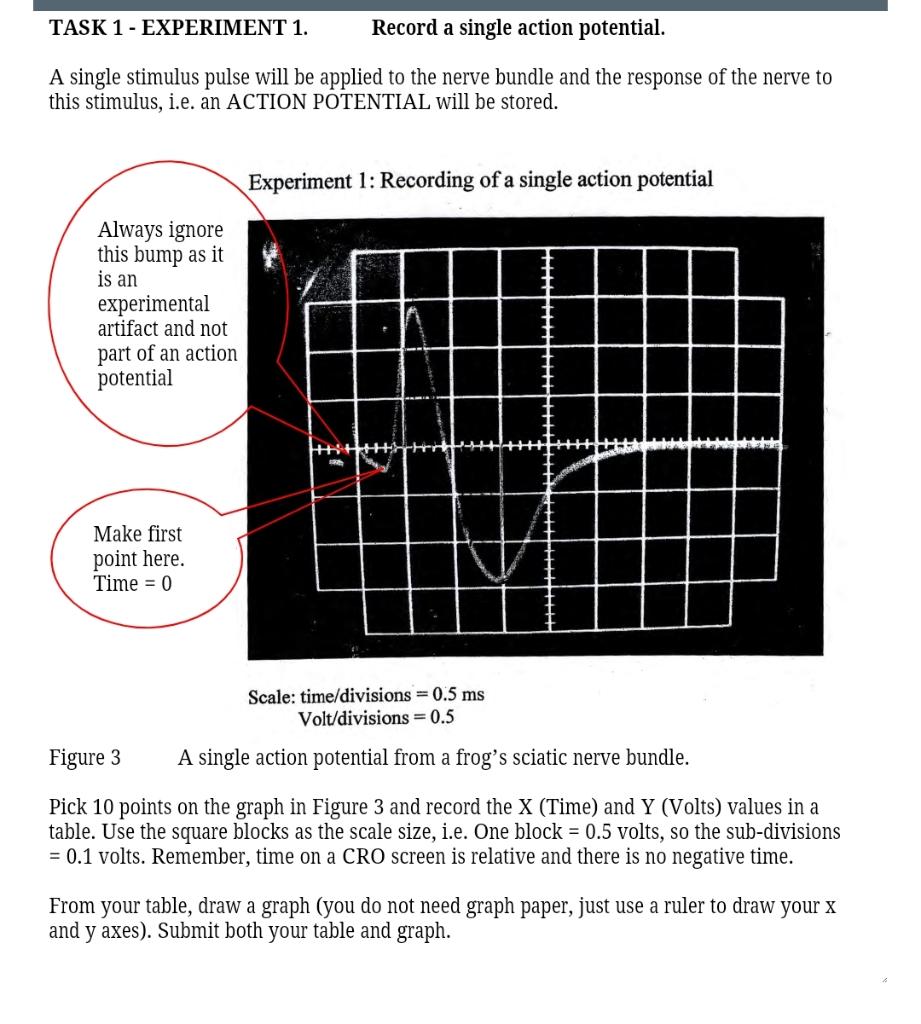 TASK 1 - EXPERIMENT 1. Record a single action | Chegg.com