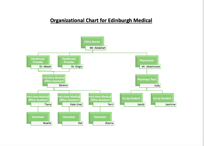 Solved What kind of departmentalization is this | Chegg.com
