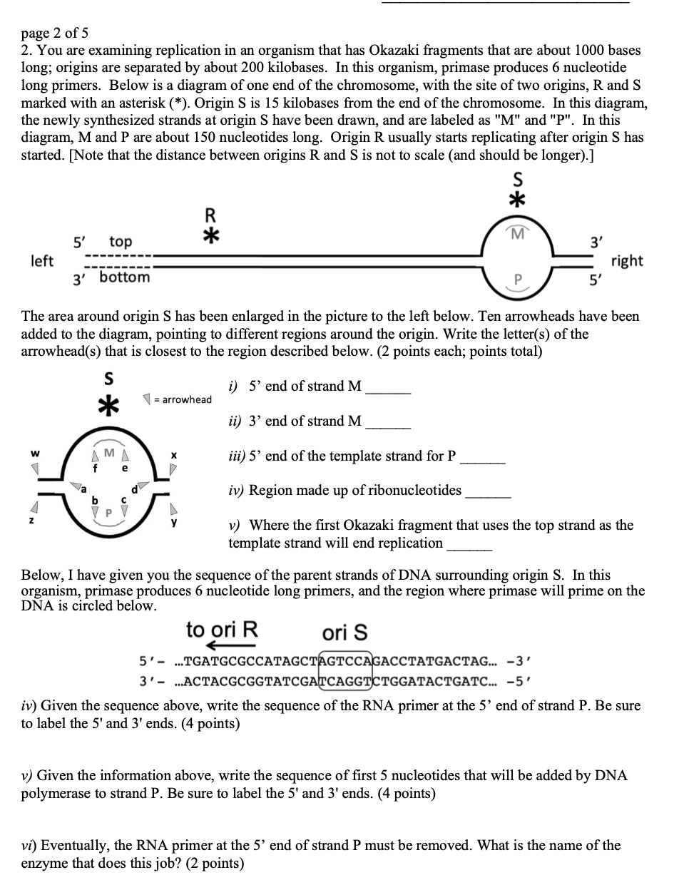 Solved page 2 of 5 2. You are examining replication in an | Chegg.com