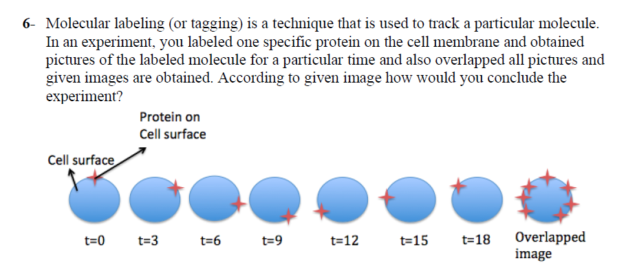 Molecular labeling (or tagging) is a technique that | Chegg.com