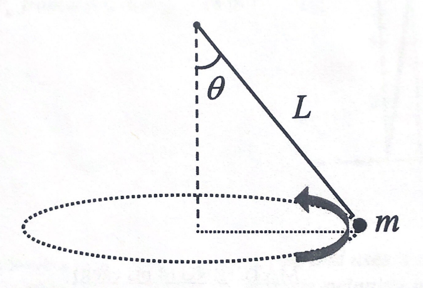 Solved A ball of mass m swings in a horizontal circle at the | Chegg.com