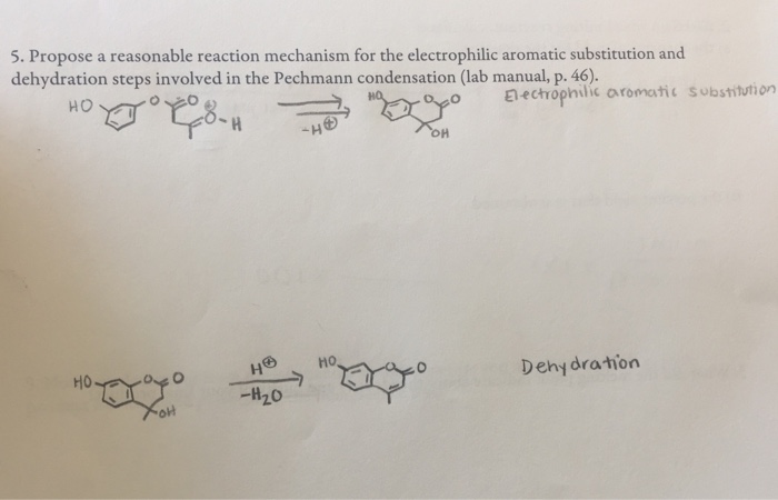 Solved propose a reasonable reaction mechanism for the | Chegg.com