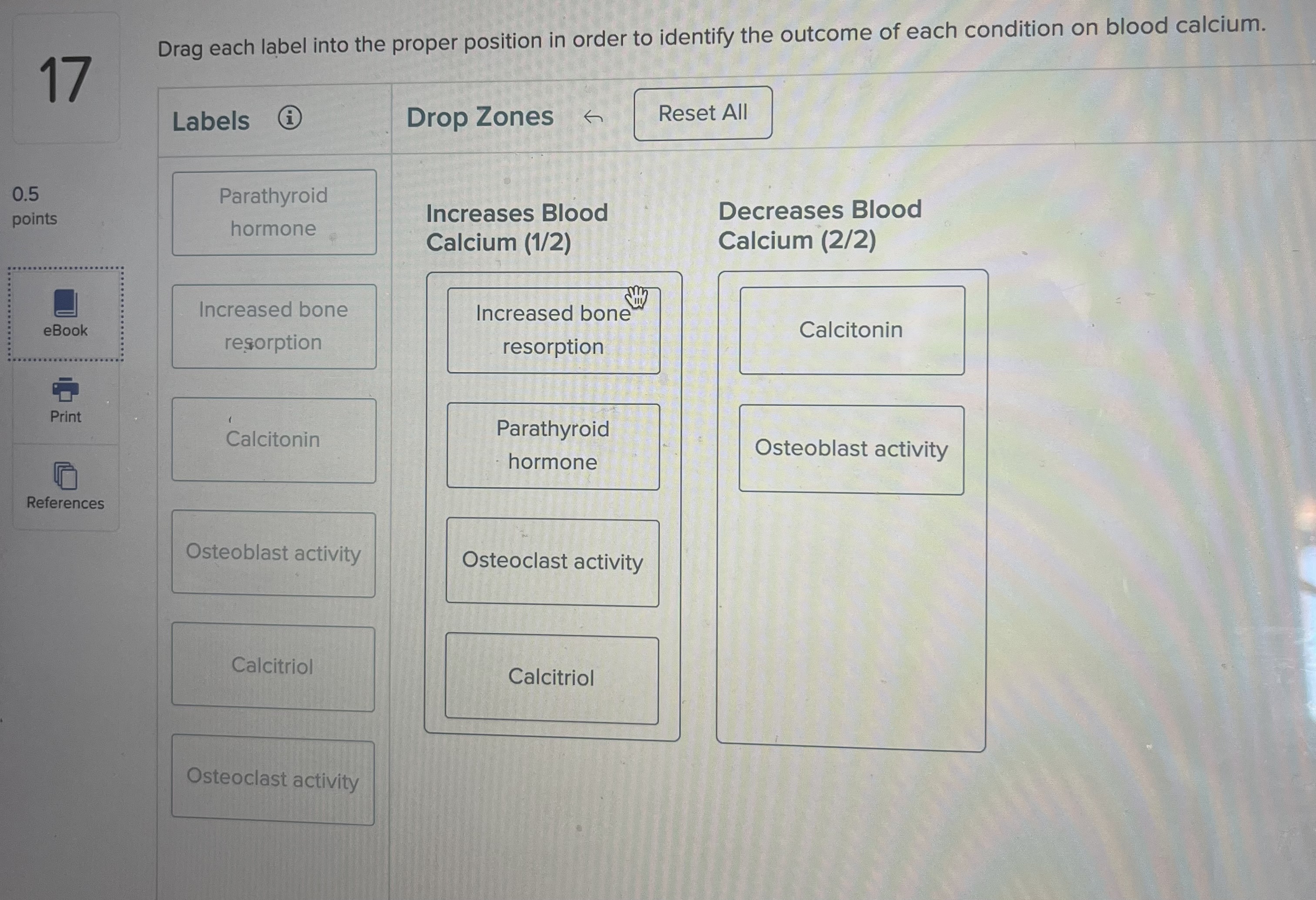 Solved Draa each label into the proper position in order to | Chegg.com