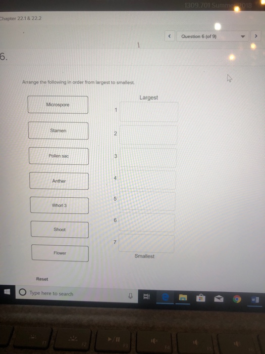 Solved hapter 22.1&22.2 Question 6 (of 9) Arrange the | Chegg.com