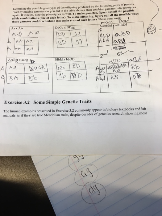 Solved Determine the possible genotypes of the offspring | Chegg.com