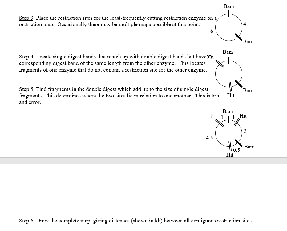 Solved 2. Obtain the necessary reagents and place them on | Chegg.com