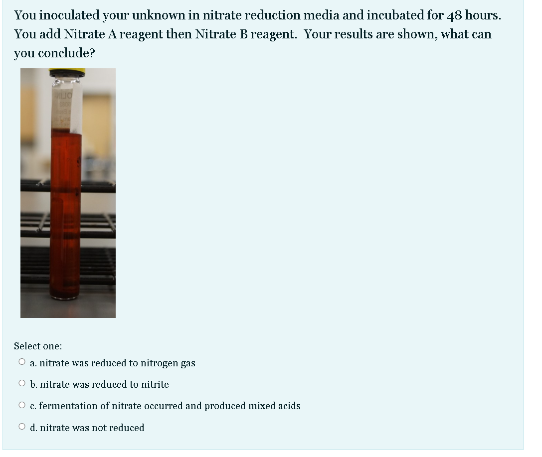 Solved You inoculated your unknown in nitrate reduction | Chegg.com