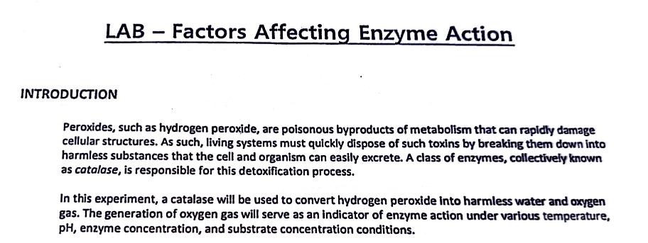 LAB - Factors Affecting Enzyme Action INTRODUCTION | Chegg.com