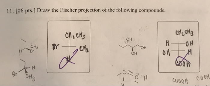 Solved Draw the Fischer projection of the following | Chegg.com