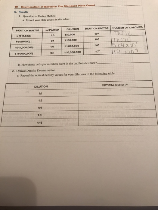 19 Enumeration of Bacteria: The Standard Plate Count | Chegg.com