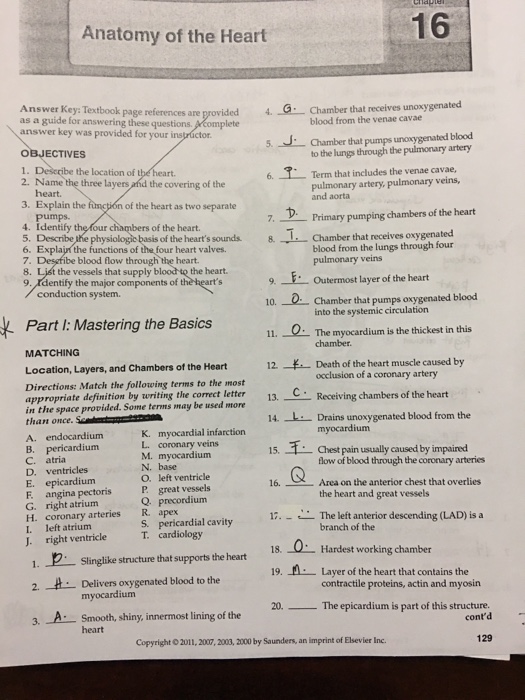 Solved 134 Chapter 16 Anatomy of the Heart ORDERING Blood | Chegg.com